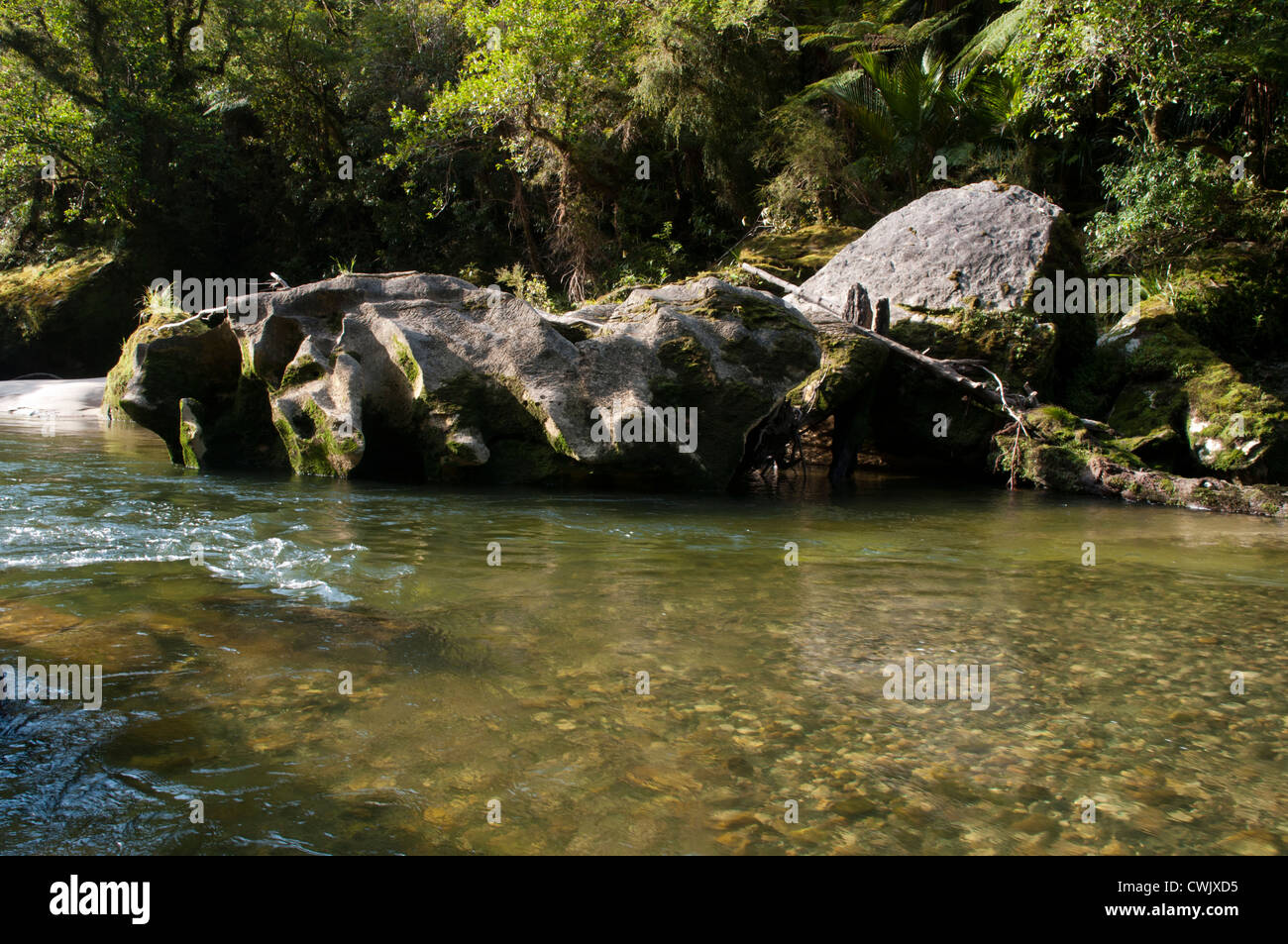 Spectacular washed-out rocks lay in the Pororai River Gorge in Paparoa ...