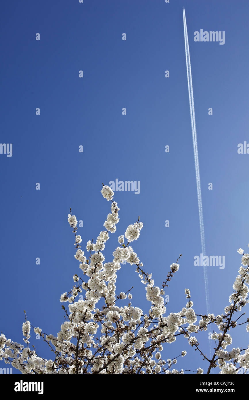 Jet contrail hi-res stock photography and images - Alamy