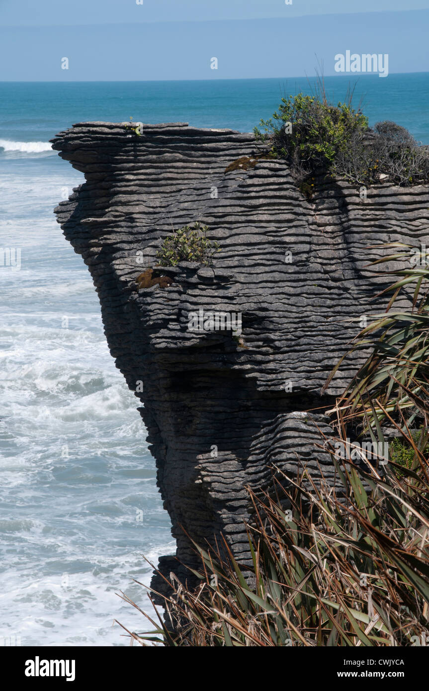 The Pancake Rocks are heavily eroded 30 million years old limestones ...