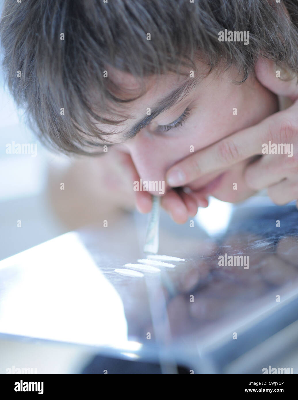 Drug sniffing hi-res stock photography and images - Alamy