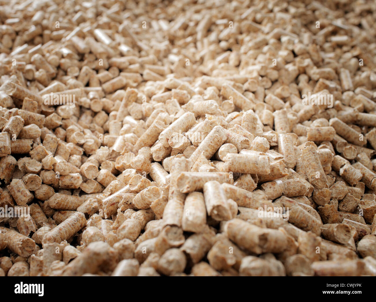 Renewable biofuel hi-res stock photography and images - Alamy