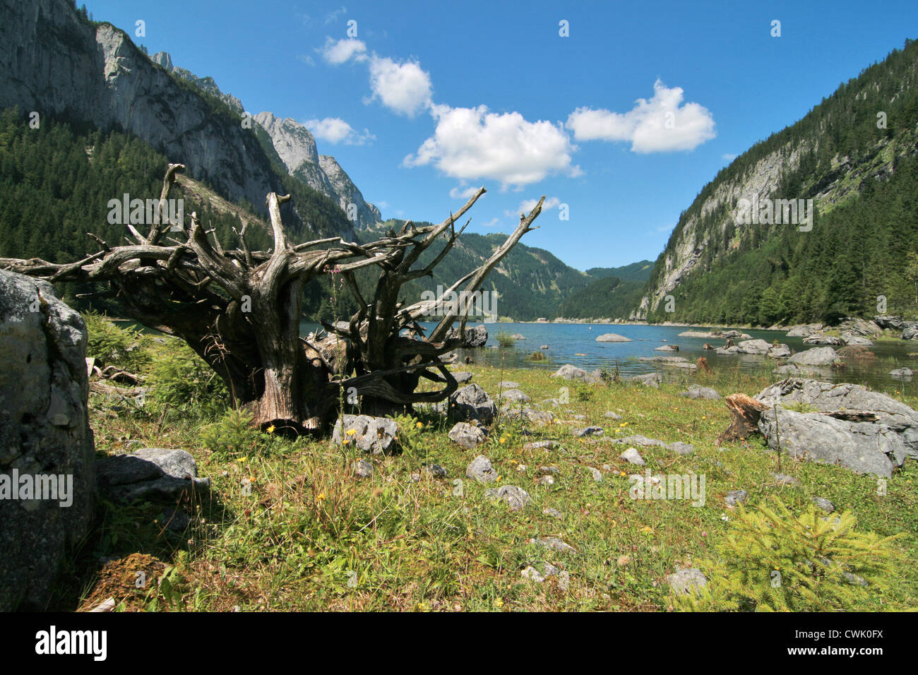 Vordere gosausee hi-res stock photography and images - Alamy