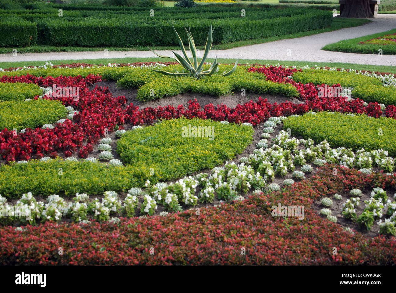 South Moravia Czech Flower Stock Photos & South Moravia Czech Flower ...