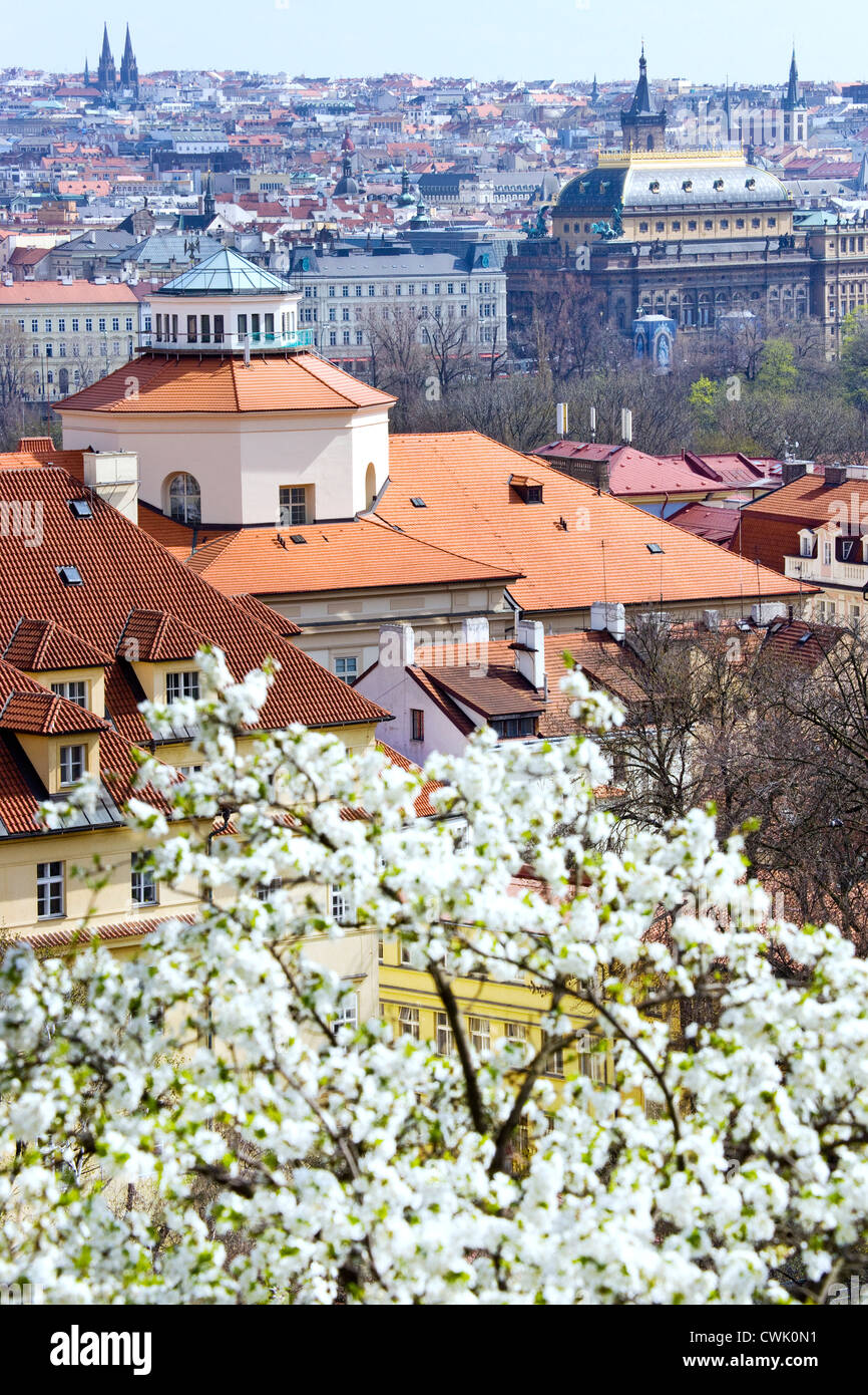 Divadlo malá hi-res stock photography and images - Alamy