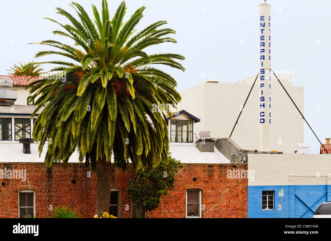 Street view of restaurant and palm tree in "Santa Barbara", California ...
