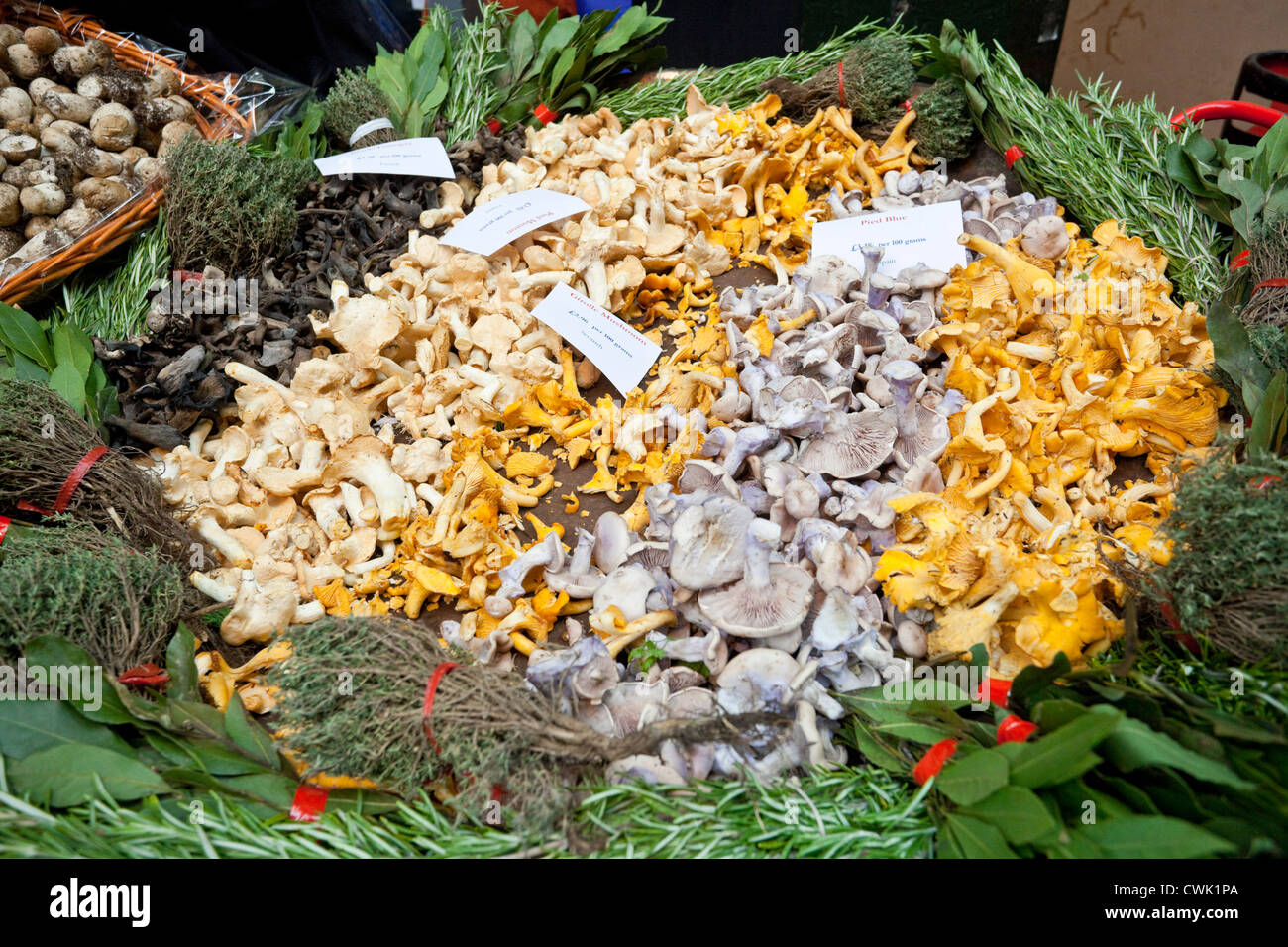 Uk mushrooms hi-res stock photography and images - Alamy