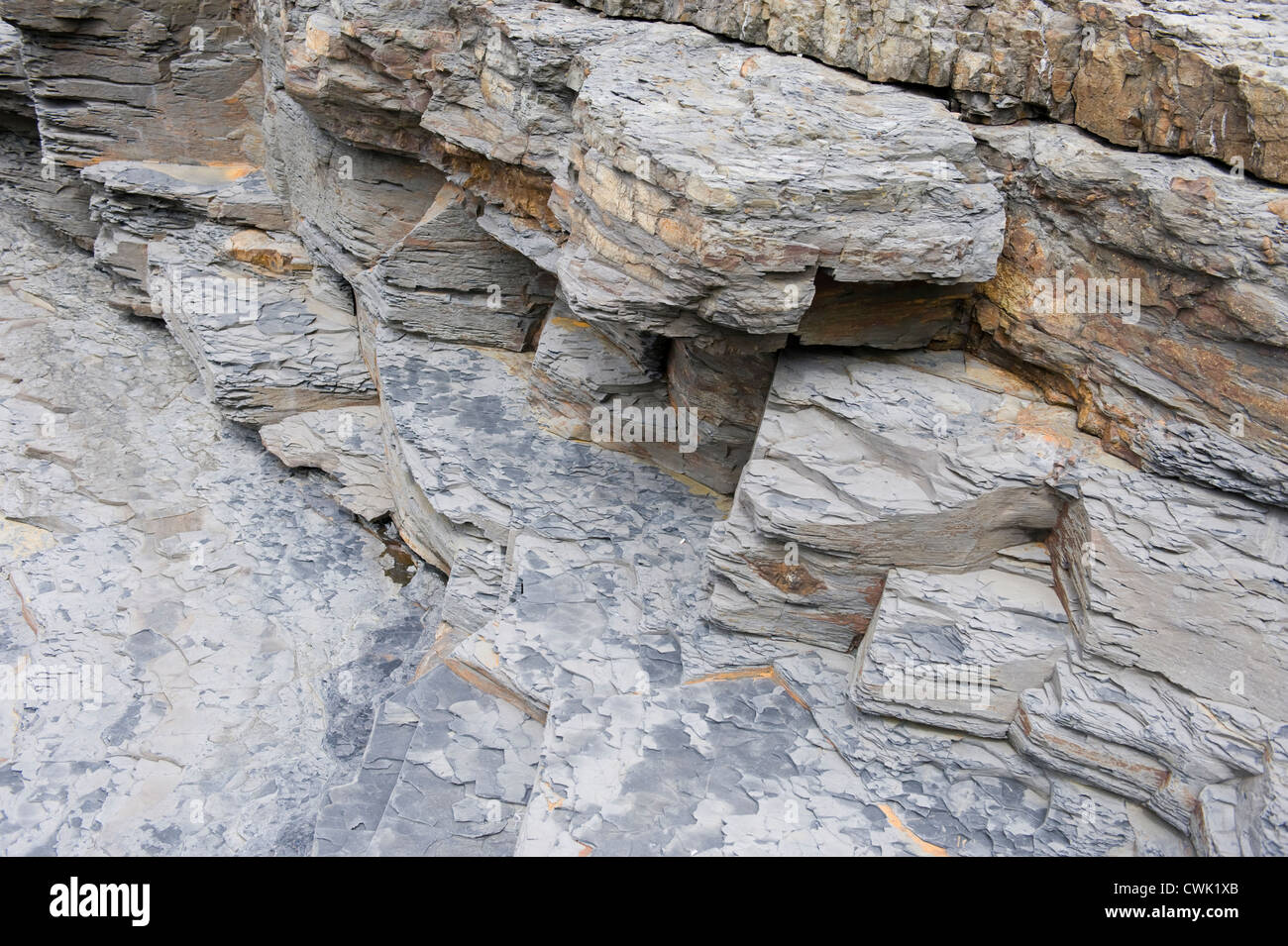 Slate grey skin hi-res stock photography and images - Alamy