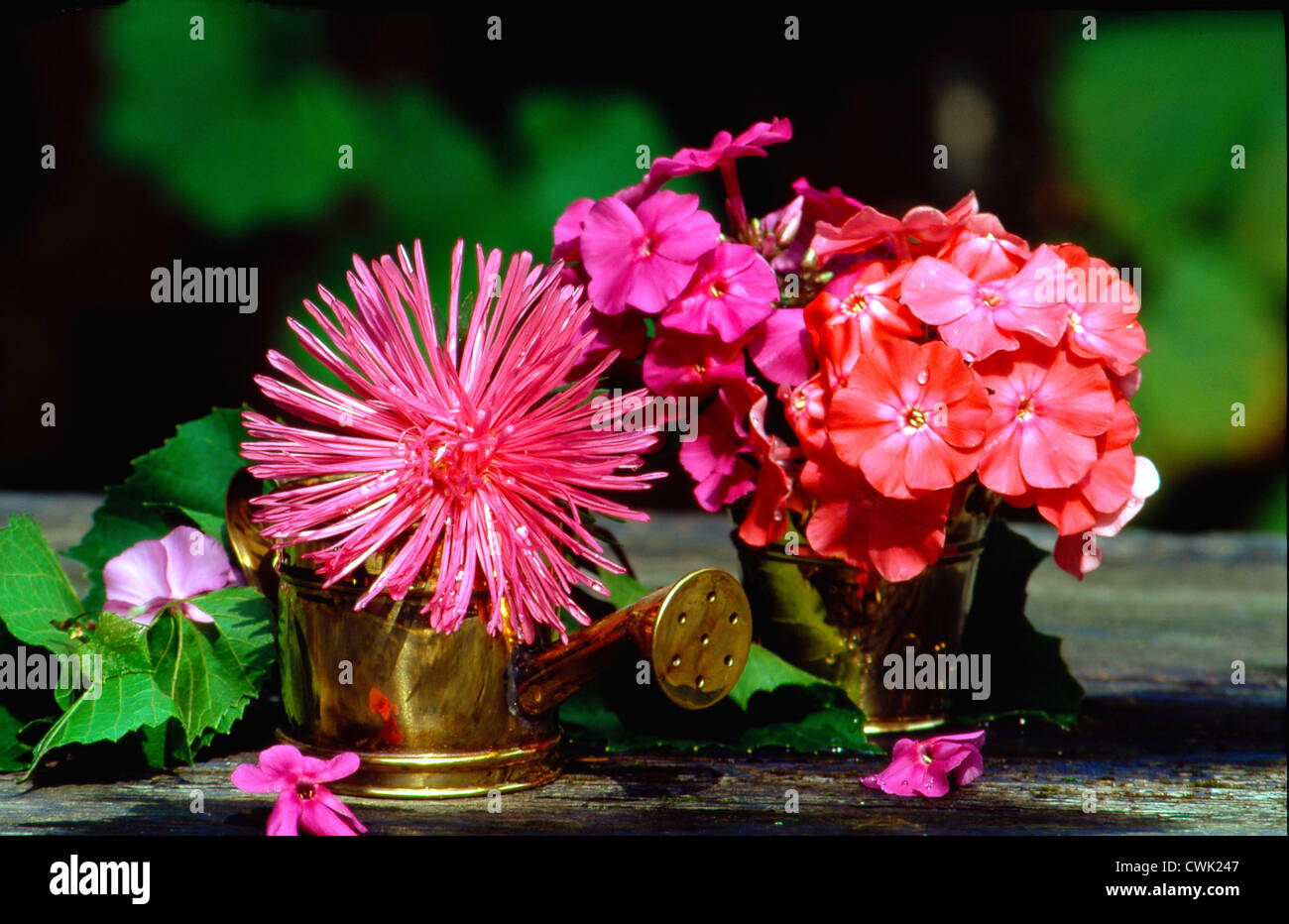 Still-Life with Flowers Stock Photo - Alamy
