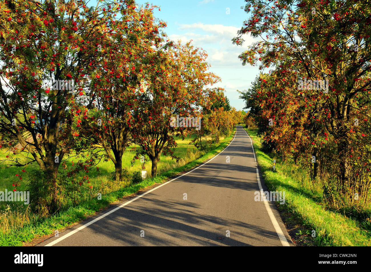 Kozakov hi-res stock photography and images - Alamy