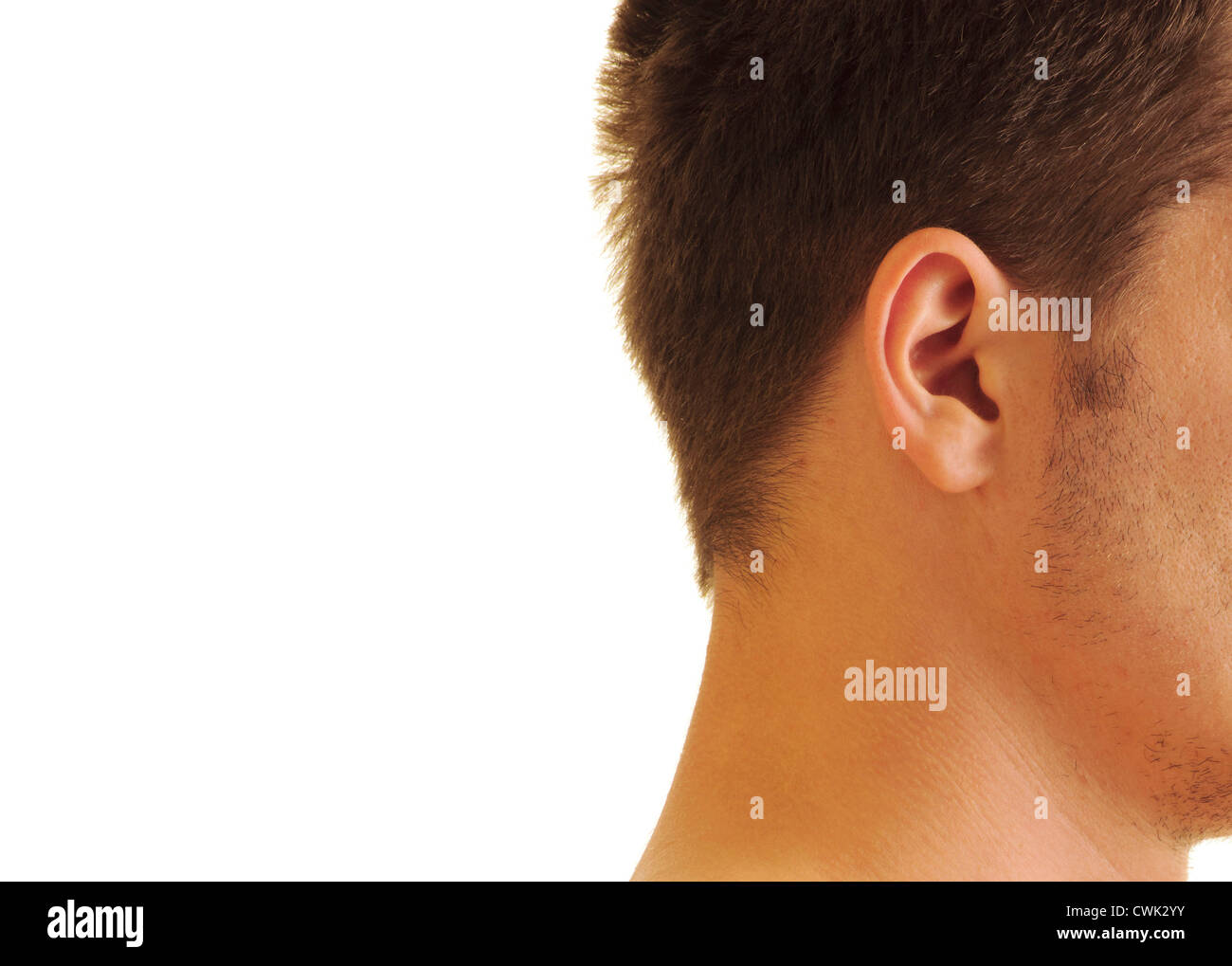 Human ear anatomy hi-res stock photography and images - Alamy