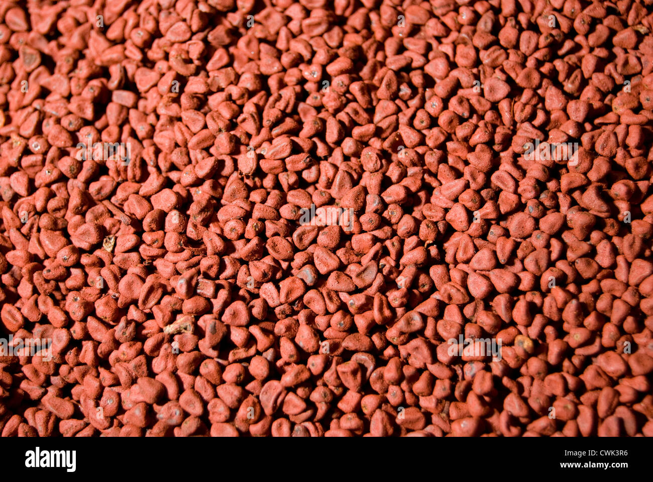 Annatto, also known as the lipstick tree Stock Photo - Alamy