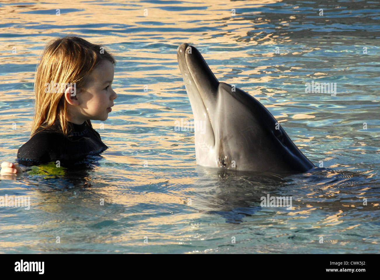 Atlantis the palm dubai dolphin hi-res stock photography and images - Alamy