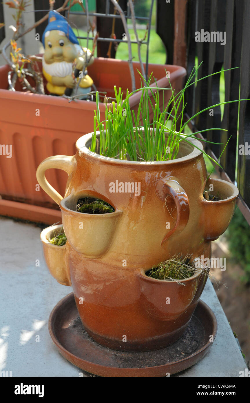 Flowe hi-res stock photography and images - Alamy