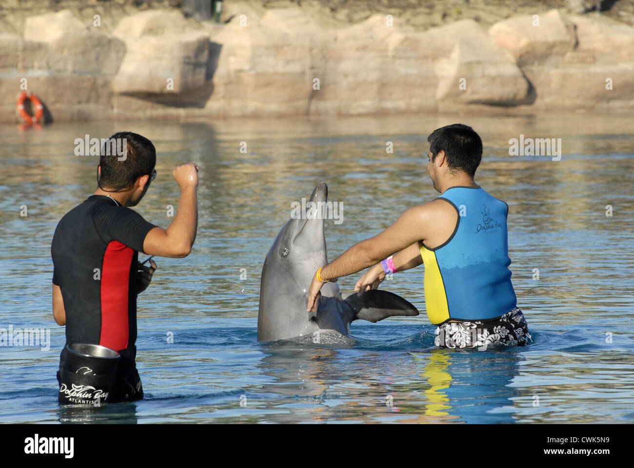 Dubai atlantis dolphin bay hi-res stock photography and images - Alamy