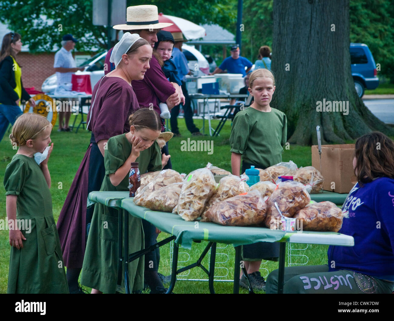 Amish carriage tour hi-res stock photography and images - Alamy