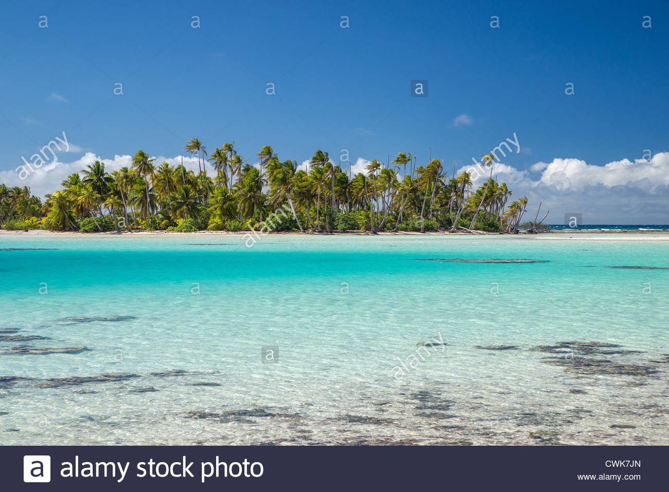 Blue Lagoon Rangiroa High Resolution Stock Photography and Images - Alamy