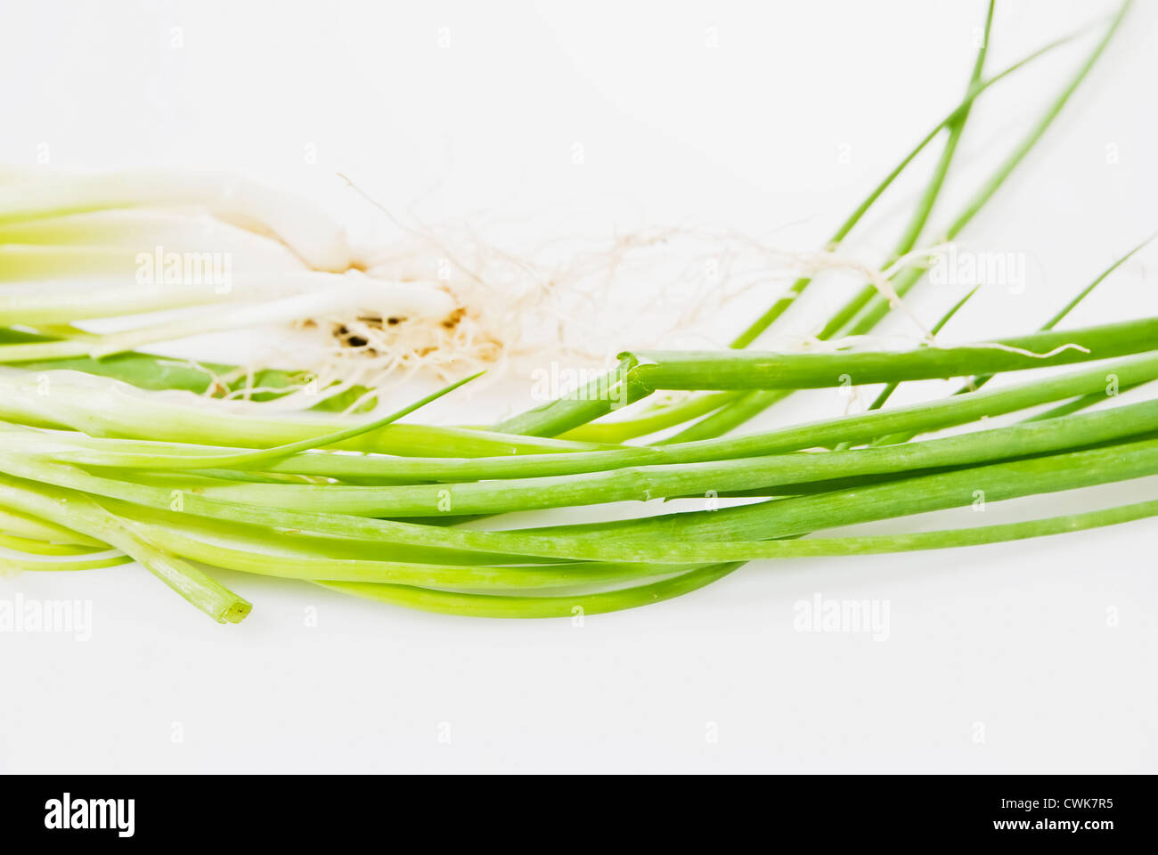 Spring onions on white background Stock Photo - Alamy