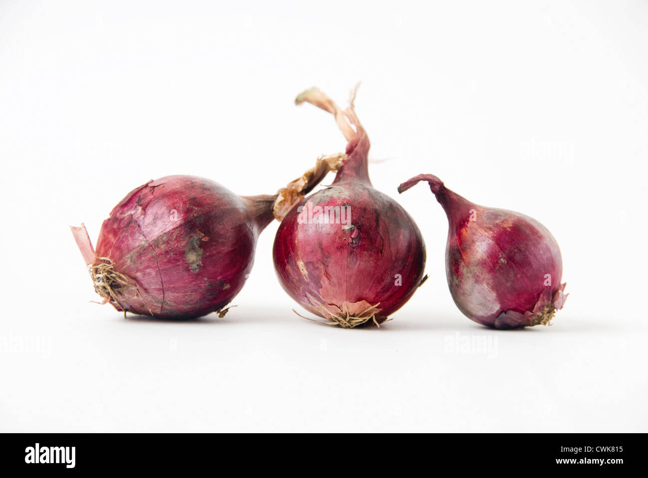 Three red onions on white background, shallow DOF Stock Photo - Alamy