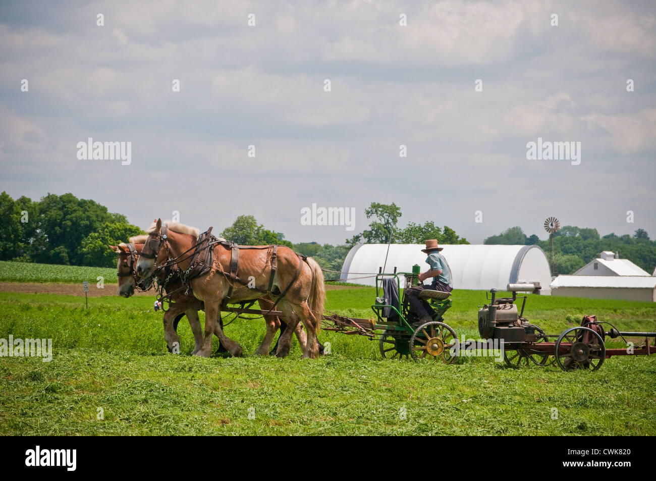 Amish farm plow hi-res stock photography and images - Alamy