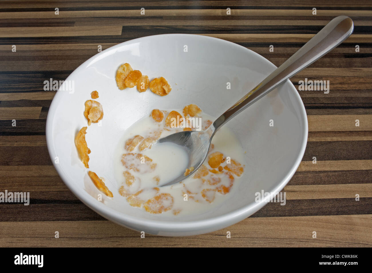 Empty Cereal Bowl