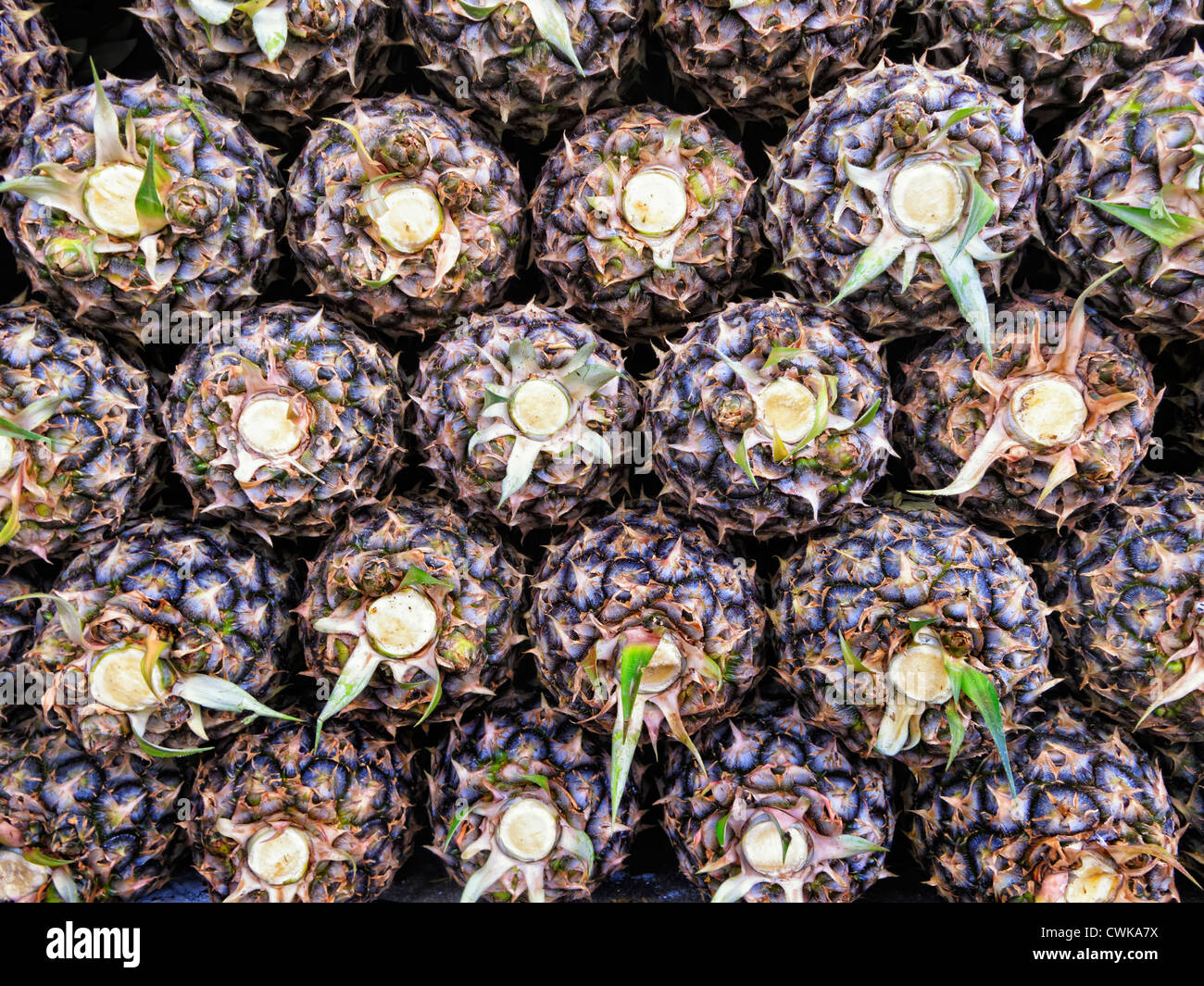 Closeup of stack of ripe pineapple in a fruit market Stock Photo - Alamy