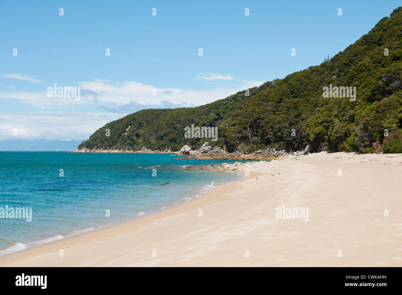 New park quarry hi-res stock photography and images - Alamy