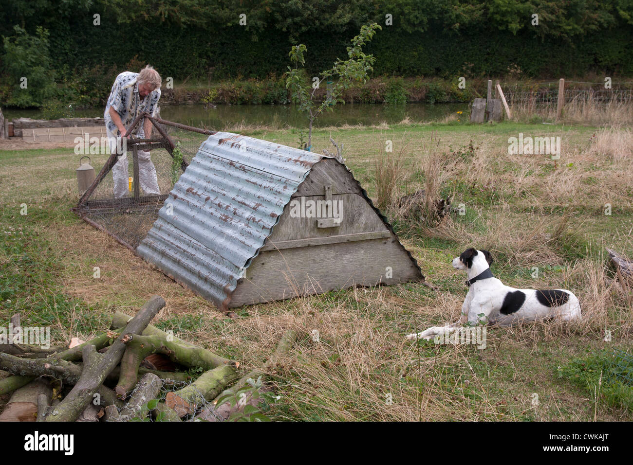 man keeping free range rescue chickens Stock Photo - Alamy