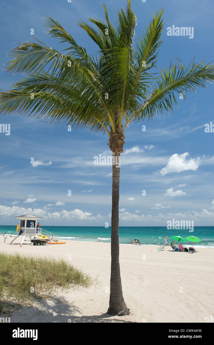 SEABREEZE BOULEVARD BEACH WAVE WALL PROMENADE FORT LAUDERDALE FLORIDA ...