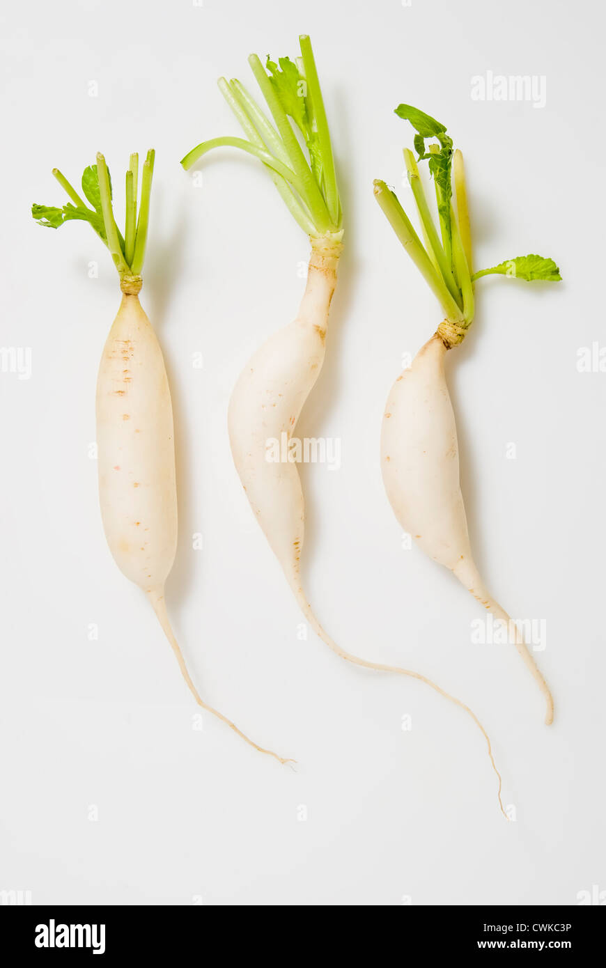 White raddish on white background Stock Photo - Alamy