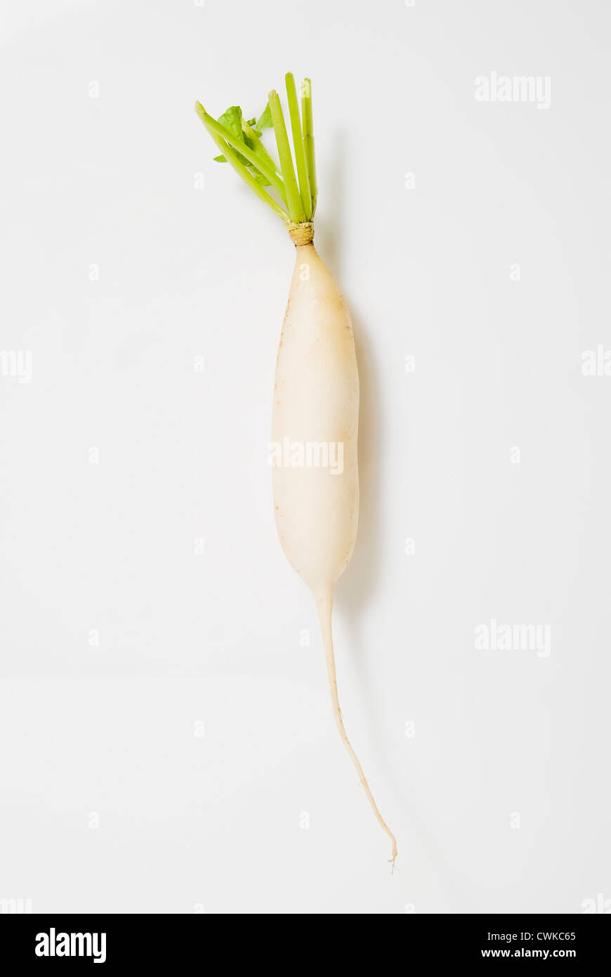 White raddish on white background Stock Photo - Alamy