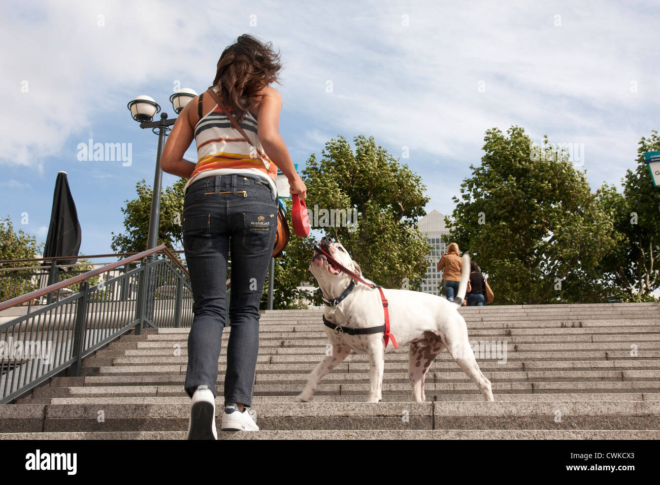 Lady with dog on lead hi-res stock photography and images - Alamy