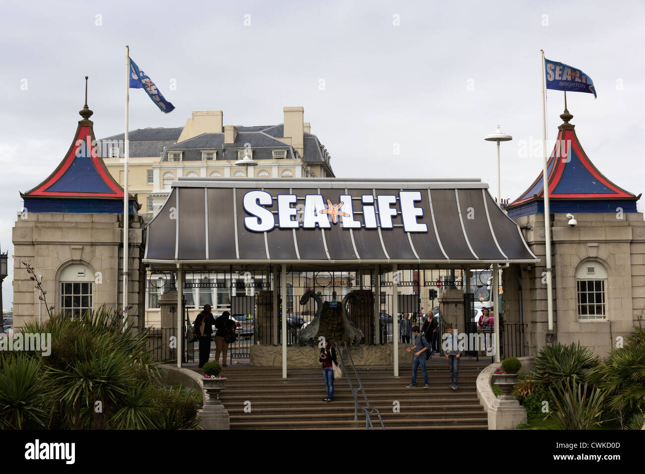 Sea life in Brighton Stock Photo - Alamy