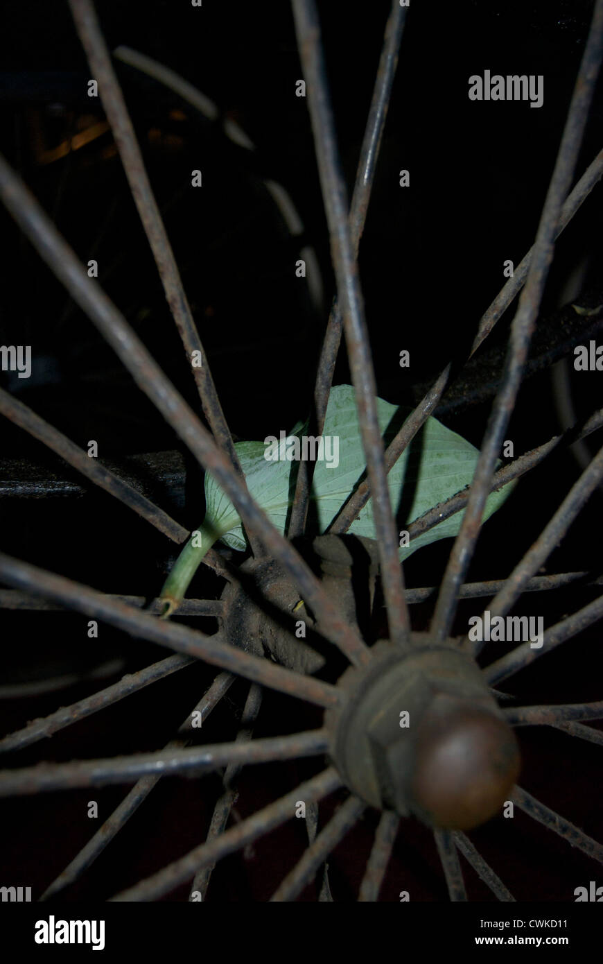 Radial spoke hi-res stock photography and images - Alamy