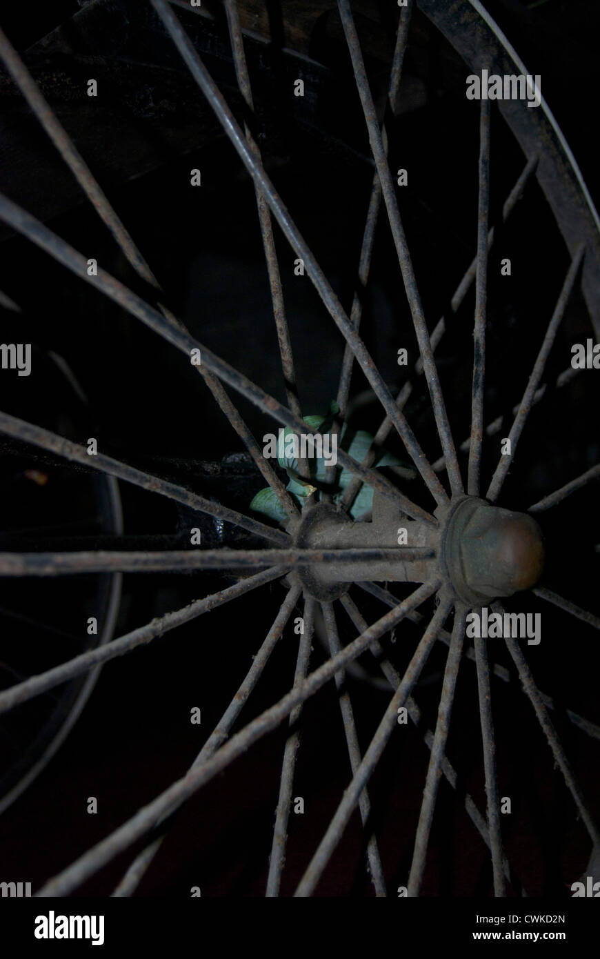 Close up of spokes of a wheel Stock Photo - Alamy