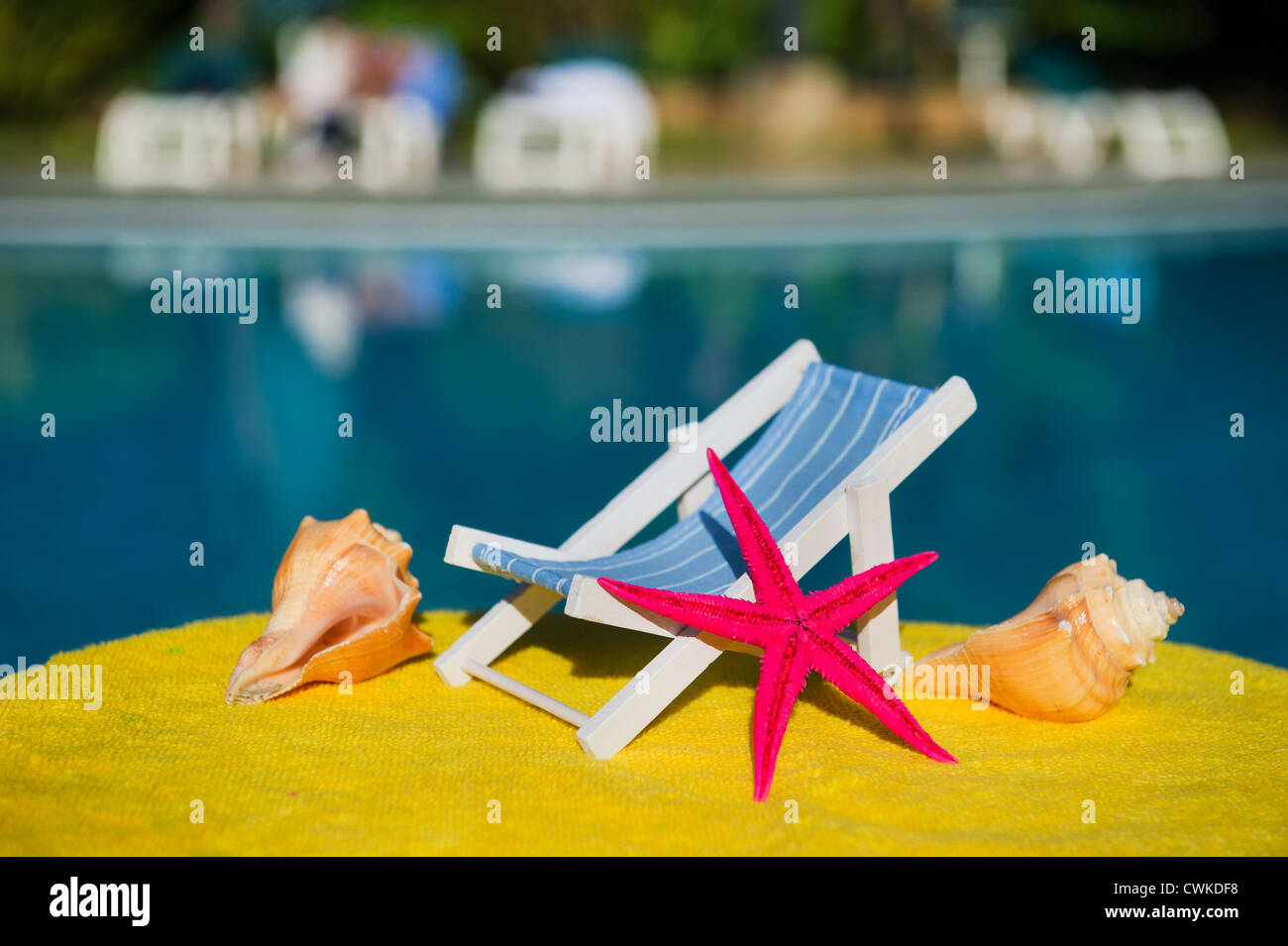Beach chair and shells with star near swimming pool Stock Photo - Alamy