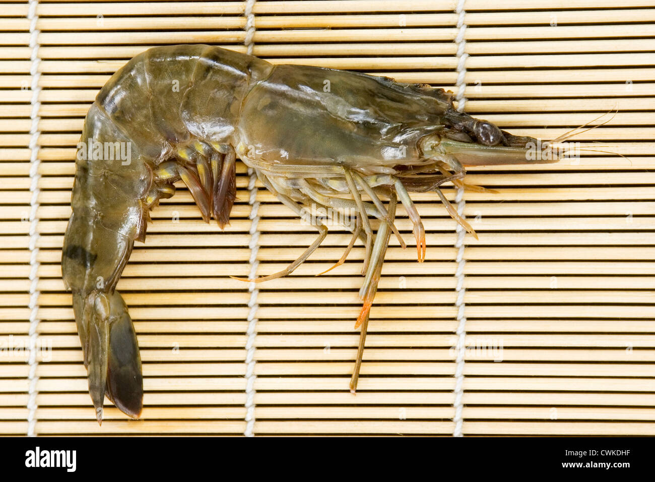 Tony the tiger hi-res stock photography and images - Alamy