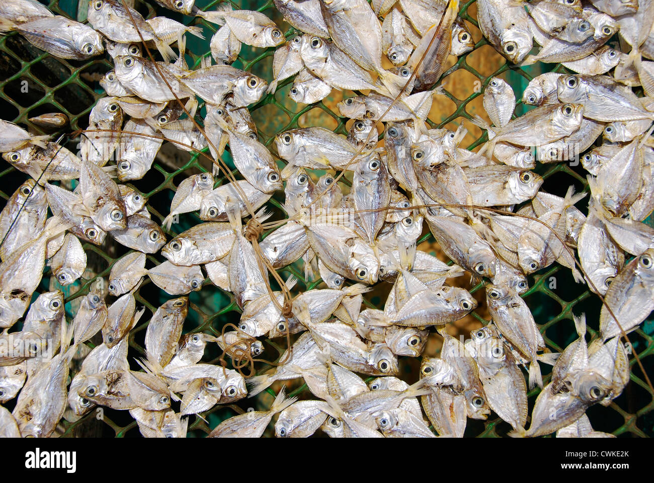Dried fish in Tacloban City, Philippines Stock Photo - Alamy