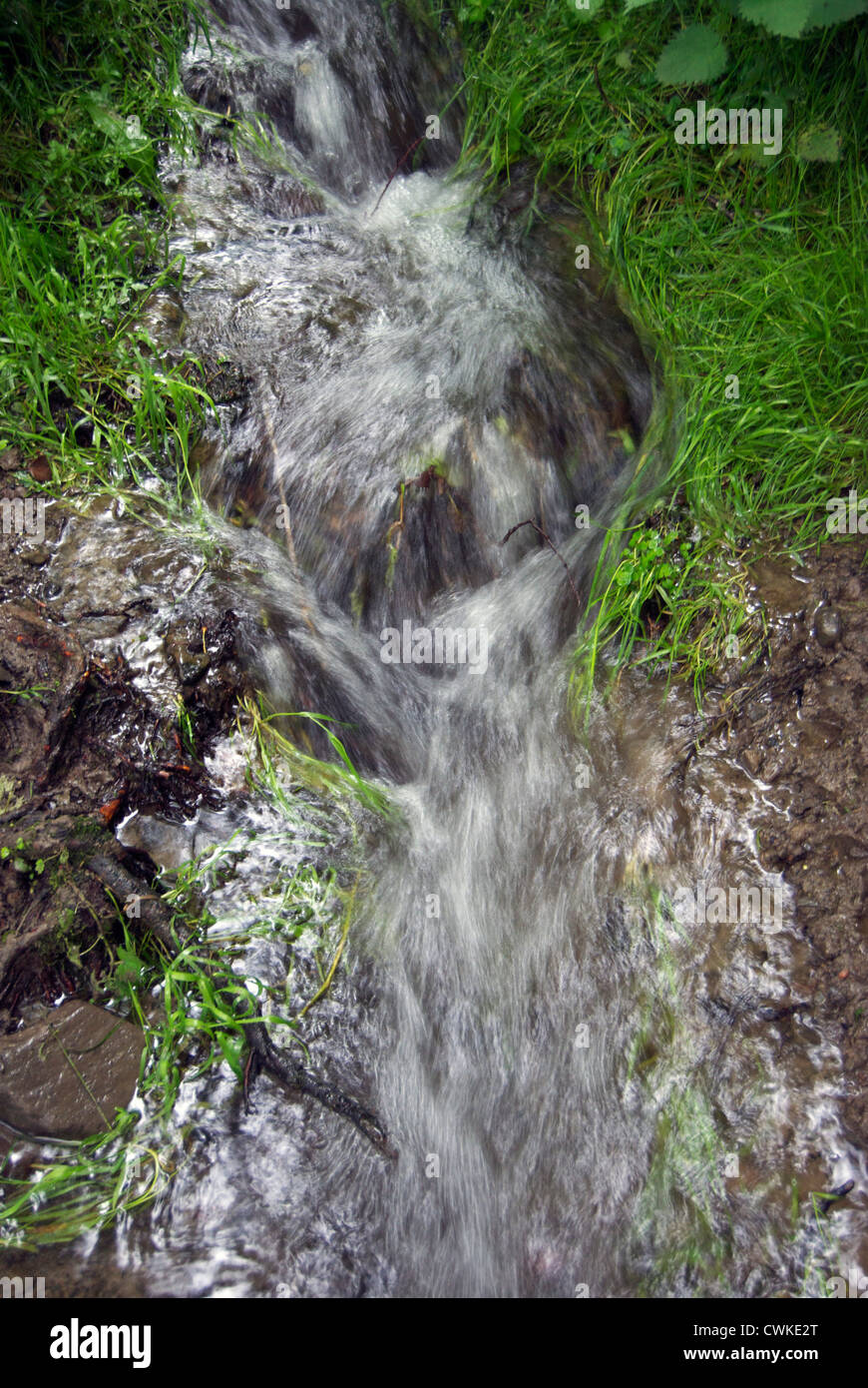 Stream flowing through grass and mud Stock Photo - Alamy