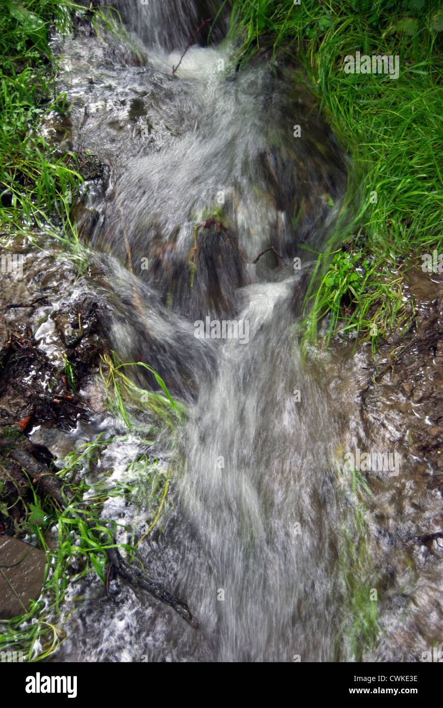 Stream flowing through grass and mud Stock Photo - Alamy
