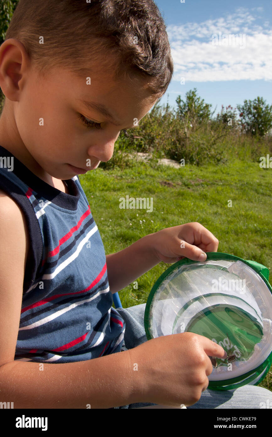 little boy with bug catcher Stock Photo - Alamy