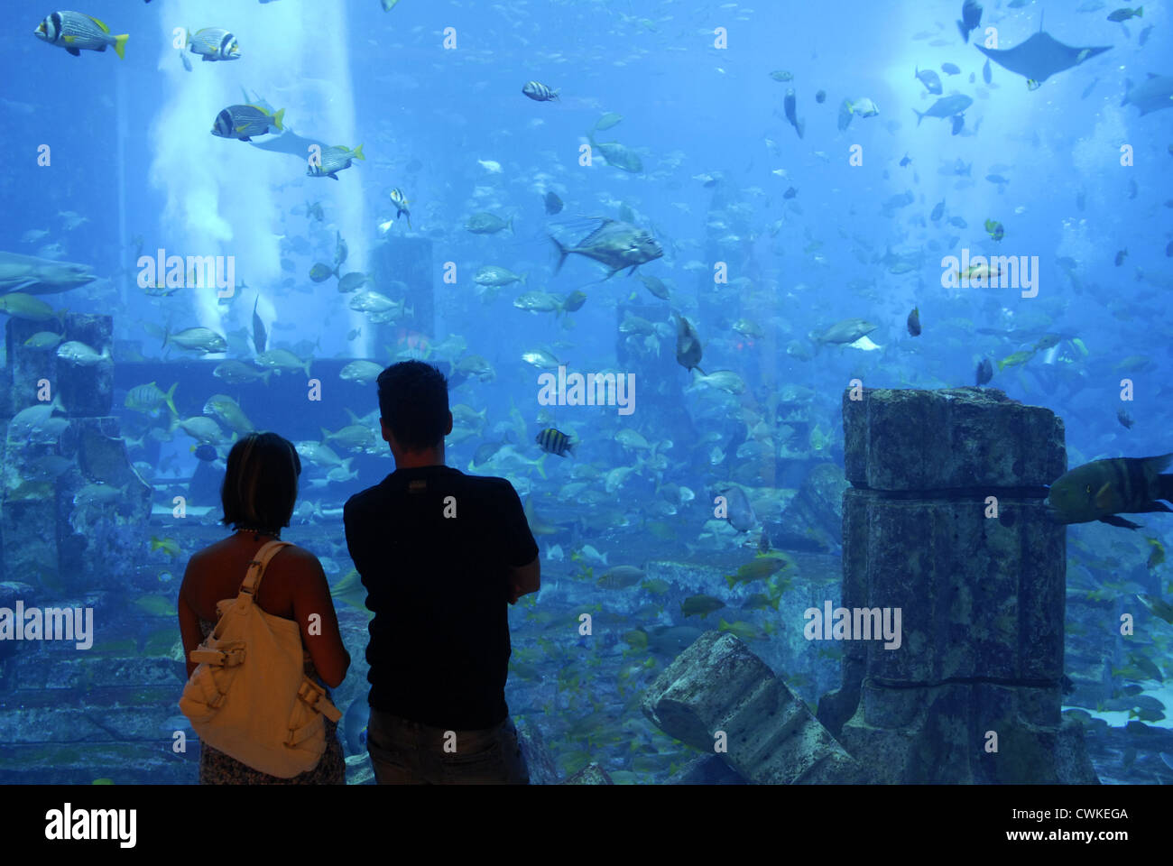 Ambassador Lagoon Aquarium, Atlantis Hotel, The Palm, Dubai, UAE ...