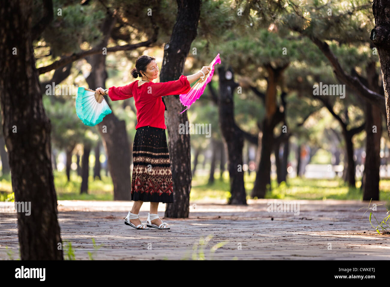 An elderly Chinese woman practices tai chi fan dance martial arts ...