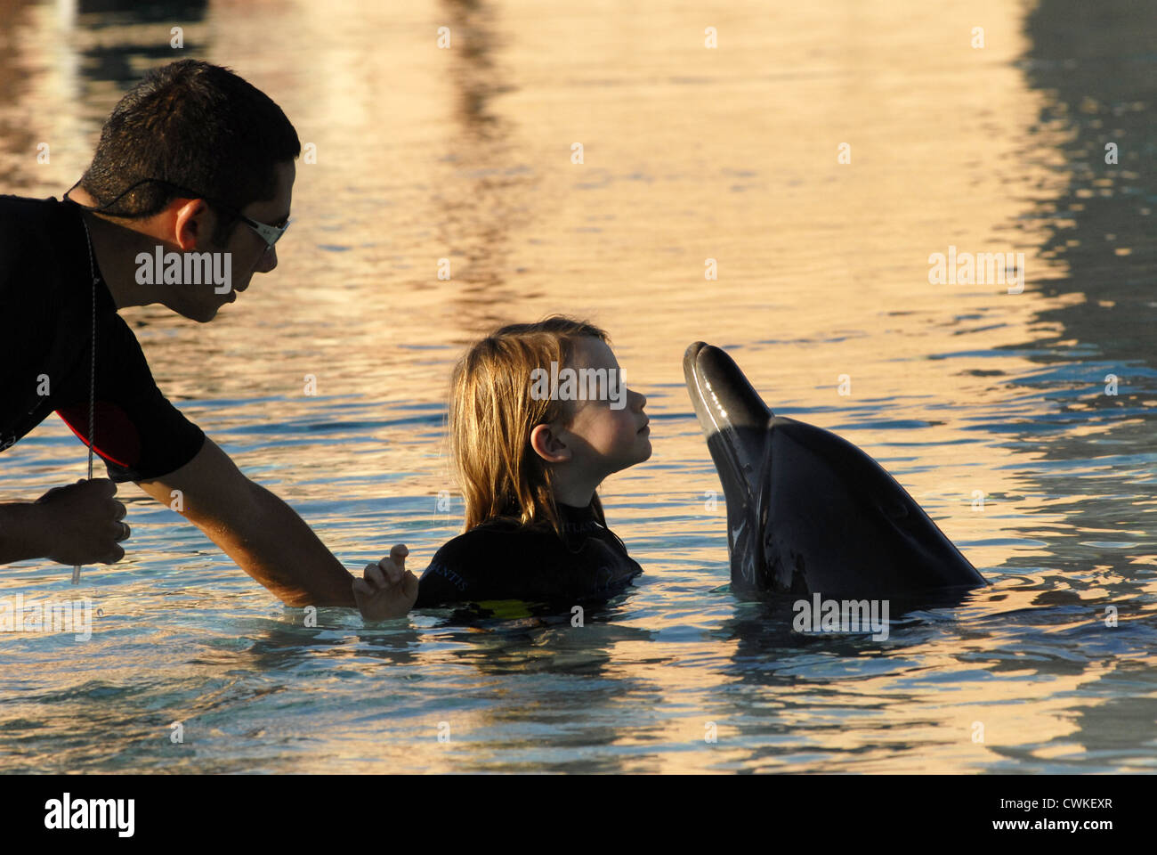 Atlantis the palm dubai dolphin hi-res stock photography and images - Alamy