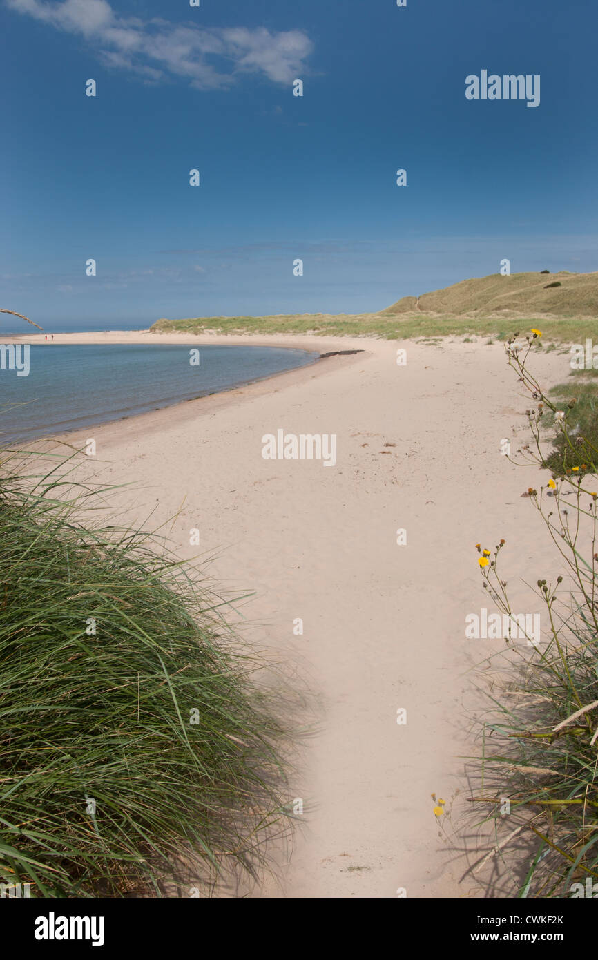 Budle Bay, Northumberland Stock Photo - Alamy