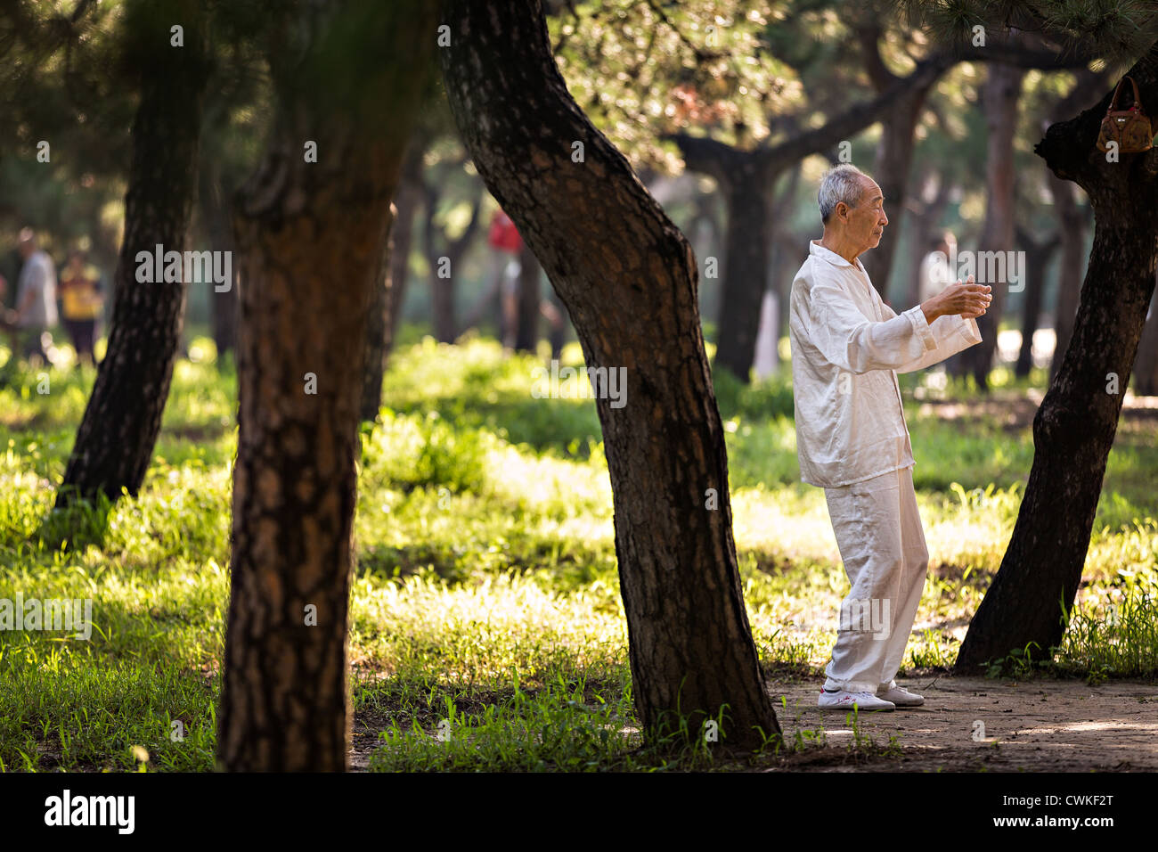 Chinese people practices tai chi martial arts exercise early morning at ...