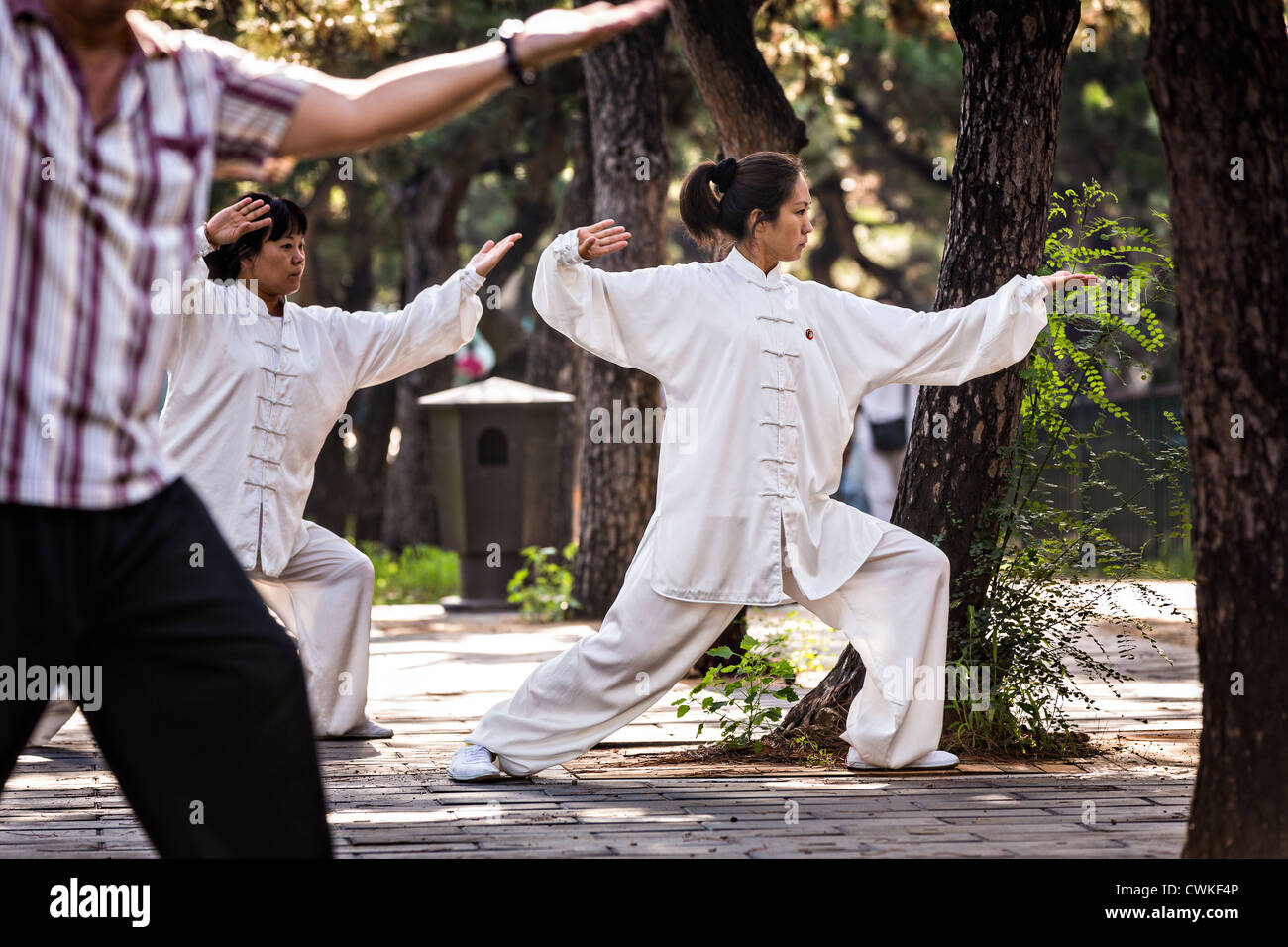 Chinese people practices tai chi martial arts exercise early morning at ...