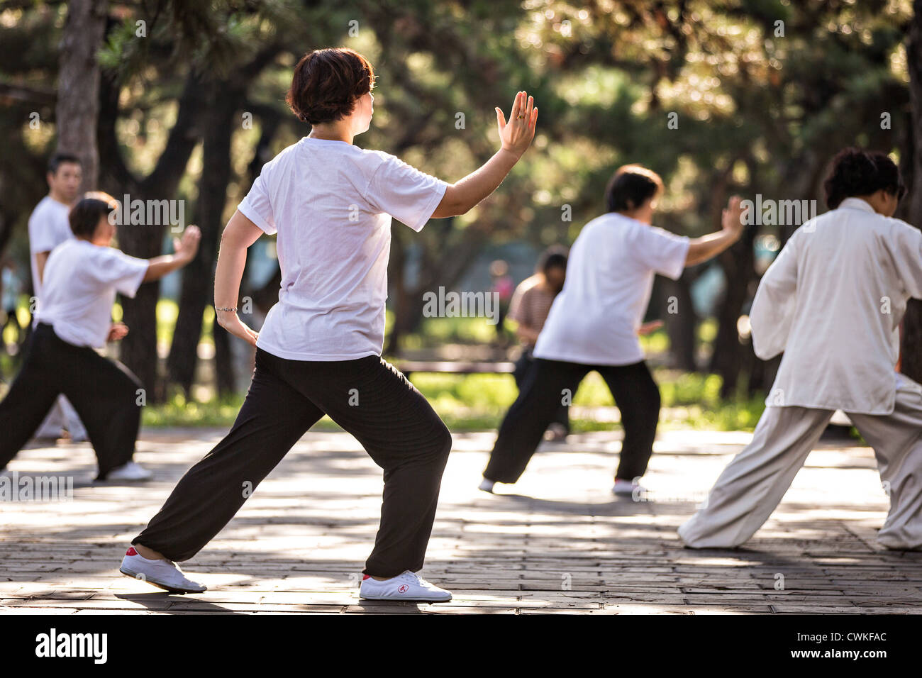 Chinese People Practices Tai Chi Martial Arts Exercise Early Morning At