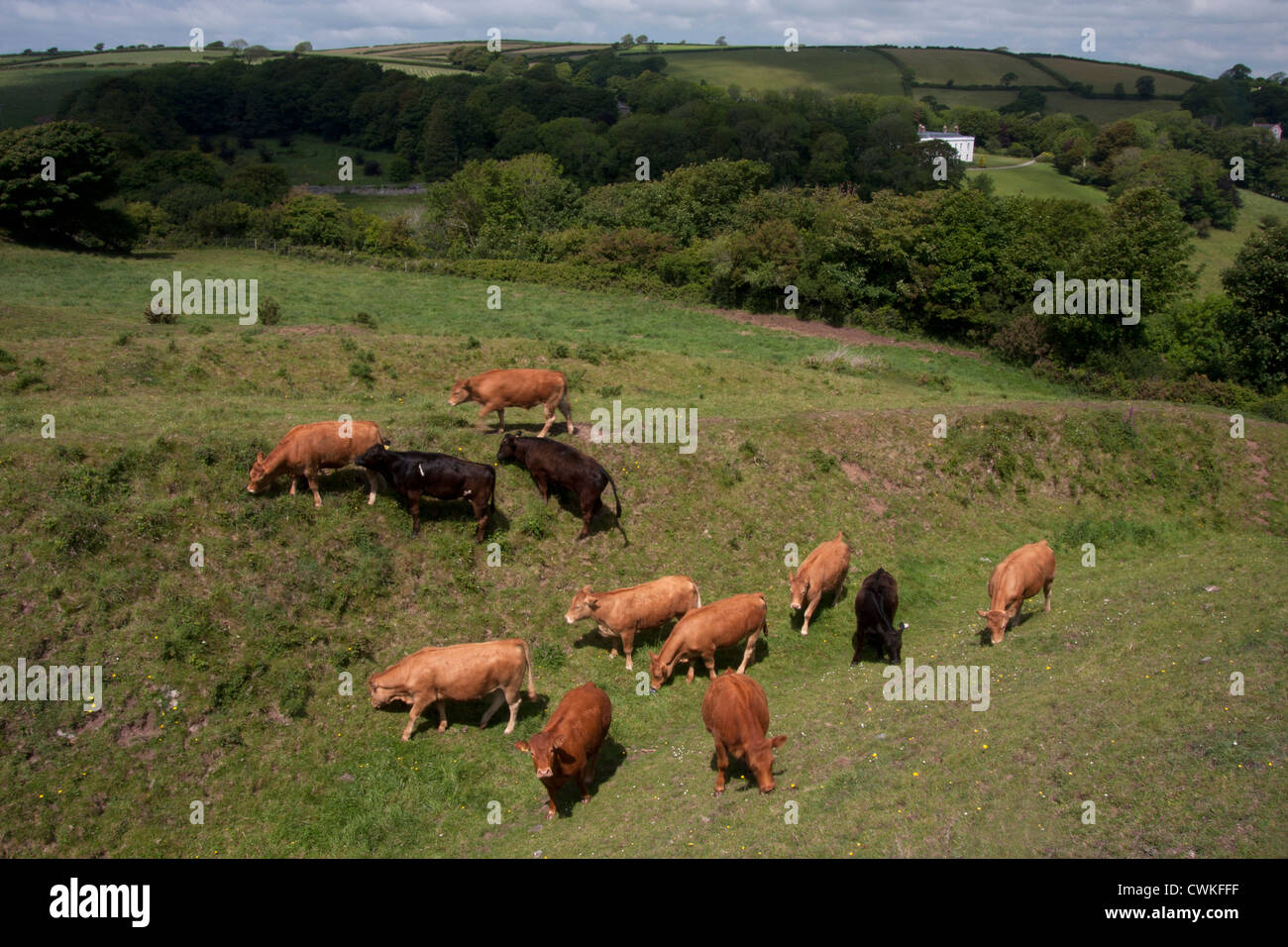 Llansteffan hi-res stock photography and images - Alamy