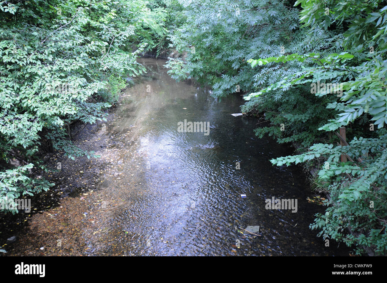 river, Ravensbourne, Ladywell Fields, Lewisham, London, England, UK ...