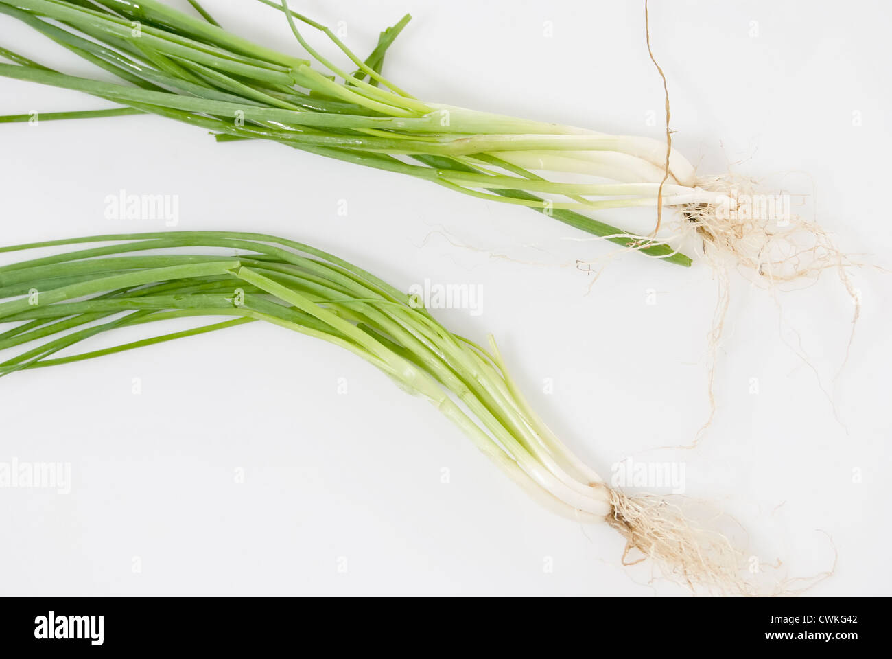 Spring onions on white background Stock Photo - Alamy